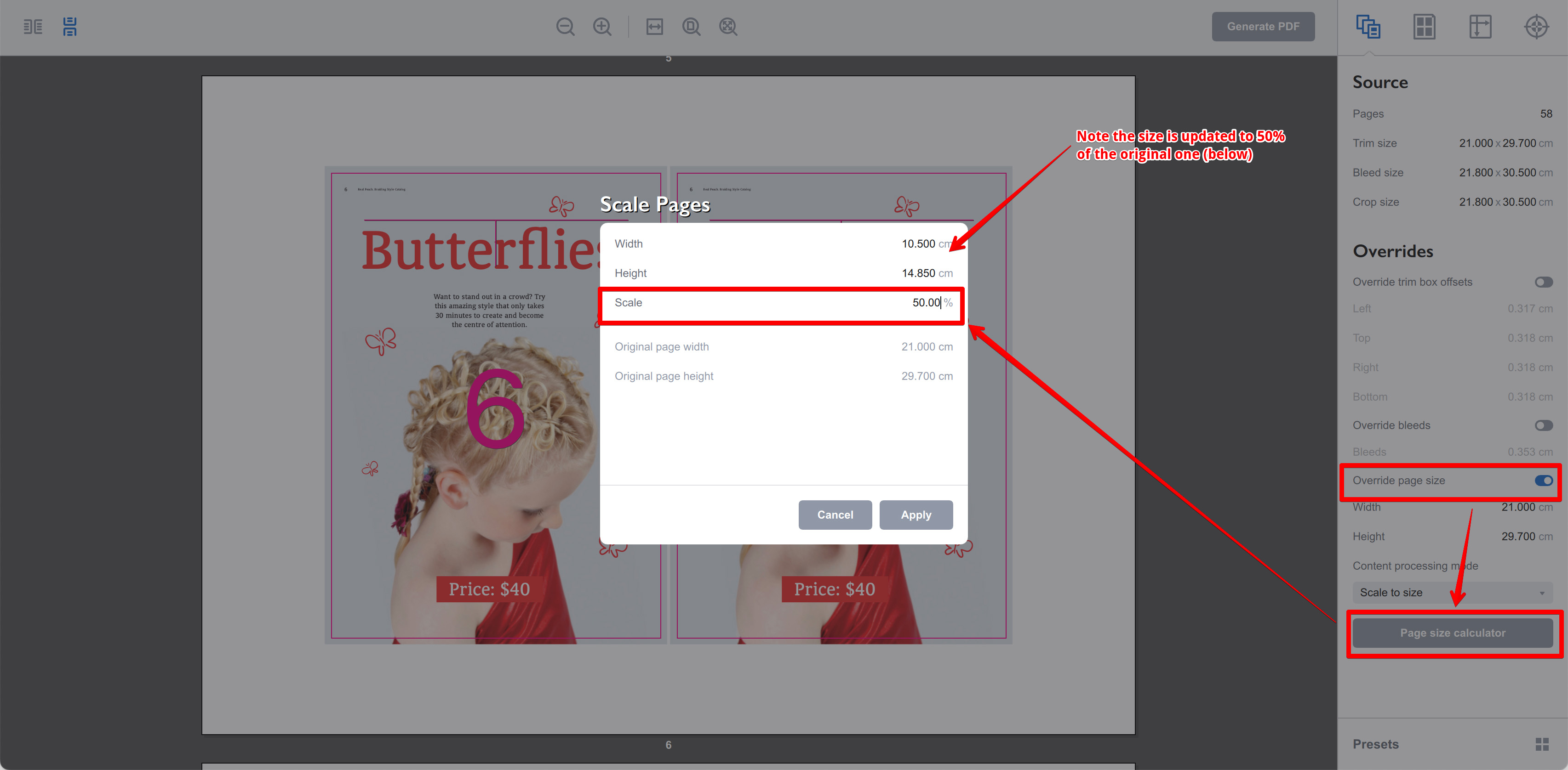 Source Panel in Imposition Wizard